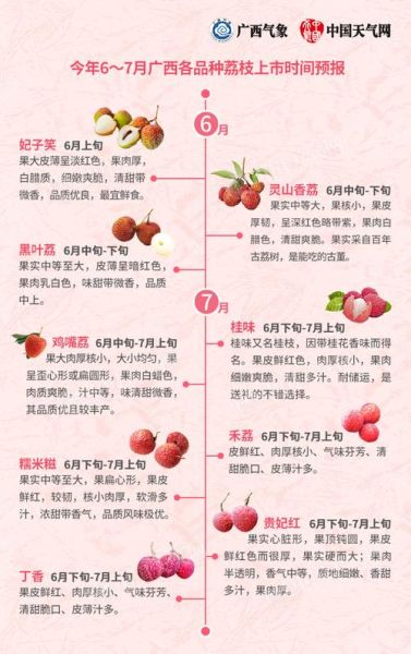 荔枝什么时候成熟_荔枝几月份上市-第1张图片-山城妙识