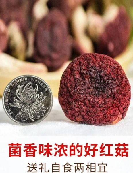 野生红菇多少钱一斤_野生红菇真假怎么辨别-第1张图片-山城妙识