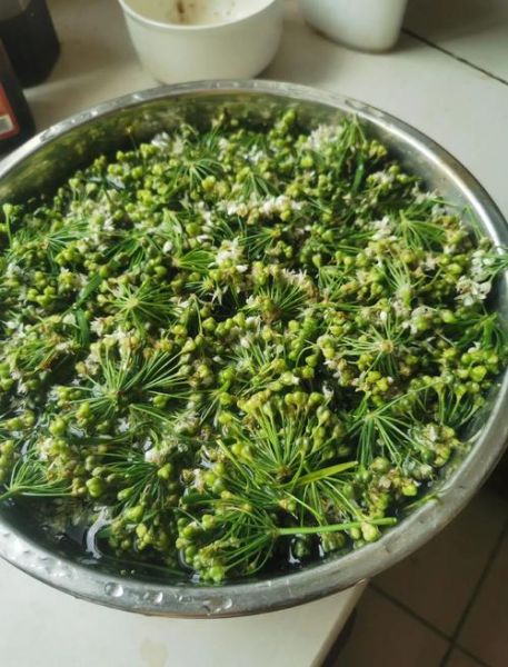 韭花怎么做好吃_韭花酱的正宗做法-第1张图片-山城妙识
