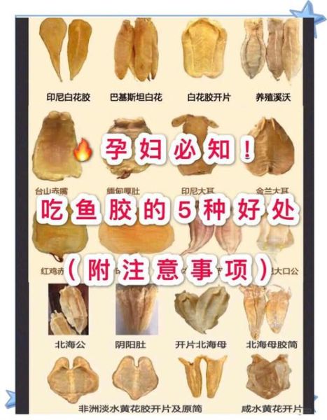 鱼胶有什么营养价值_鱼胶的功效与作用-第3张图片-山城妙识