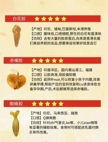 鱼胶有什么营养价值_鱼胶的功效与作用-第2张图片-山城妙识