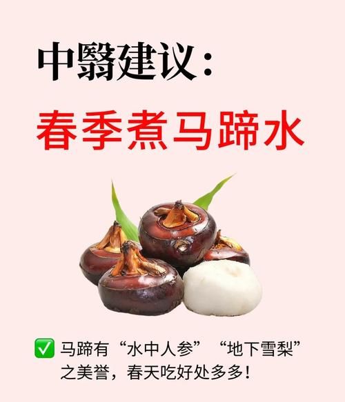 马蹄水果的功效与作用_马蹄水果能减肥吗-第1张图片-山城妙识