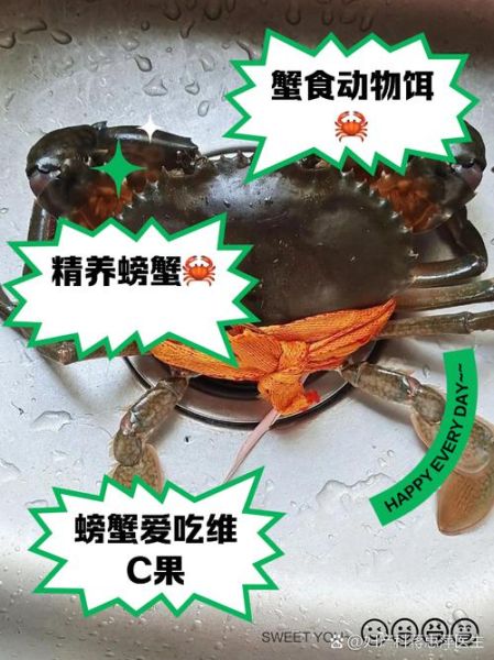 家里养螃蟹喂什么食物_螃蟹多久喂一次-第1张图片-山城妙识