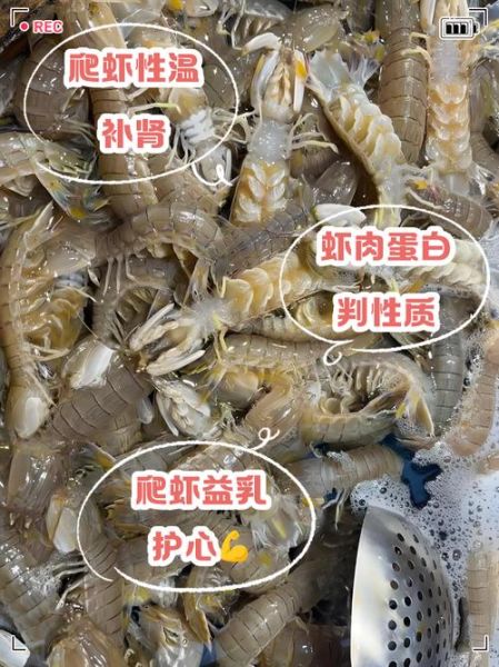 爬爬虾怎么水煮_水煮爬爬虾用冷水还是热水-第1张图片-山城妙识 爬爬虾怎么水煮_水煮爬爬虾用冷水还是热水-第1张图片-山城妙识