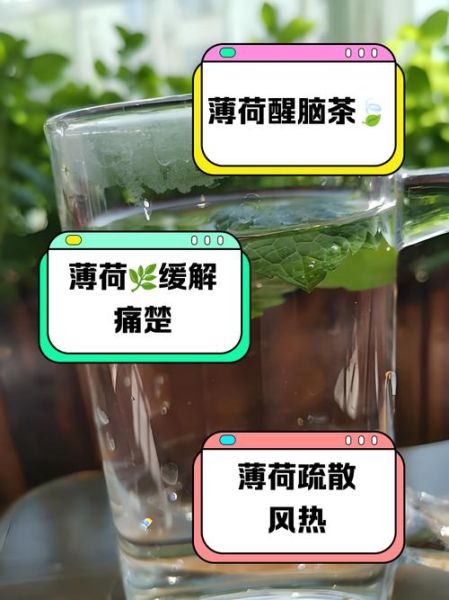 薄荷叶泡水用开水还是温水_薄荷叶泡水水温多少合适-第2张图片-山城妙识 薄荷叶泡水用开水还是温水_薄荷叶泡水水温多少合适-第2张图片-山城妙识