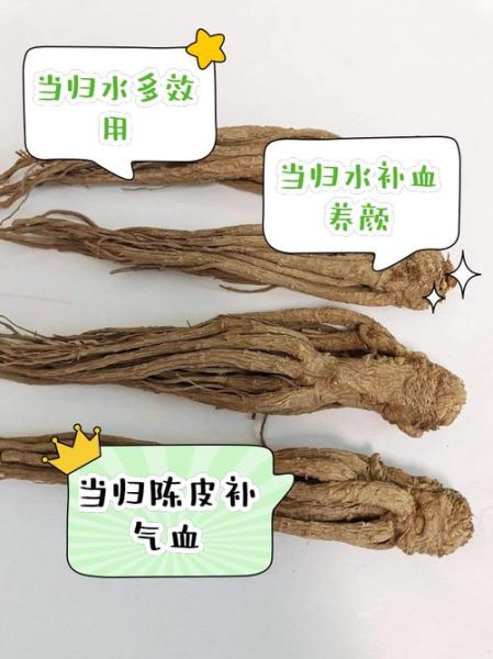 当归的功效与作用及禁忌_孕妇能吃当归吗-第1张图片-山城妙识