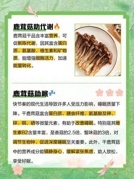 鹿茸菇的功效与作用_鹿茸菇怎么吃最好-第1张图片-山城妙识