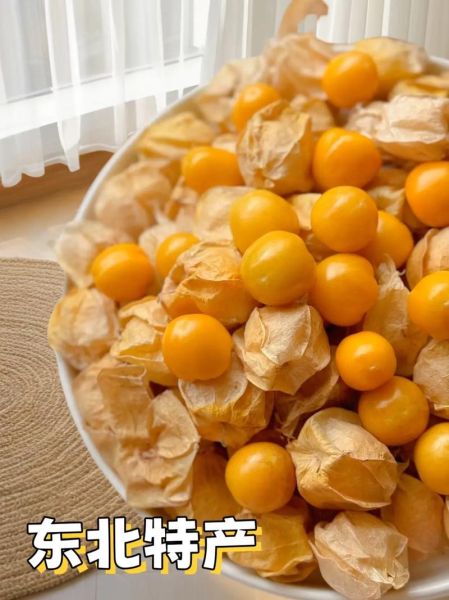 菇娘果怎么吃_菇娘果可以带皮吃吗-第1张图片-山城妙识