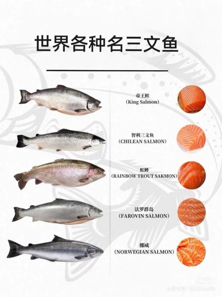 三文鱼多少钱一斤_三文鱼价格为什么差别这么大-第1张图片-山城妙识