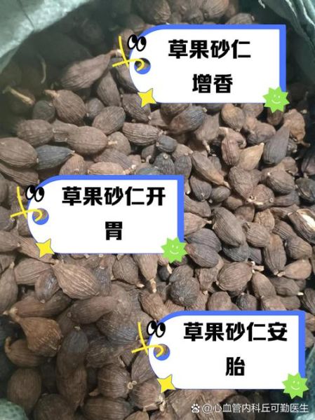 草果长什么样_草果和砂仁的区别-第1张图片-山城妙识