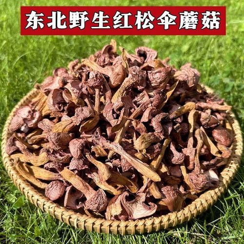 野生红菇多少钱一斤_野生红菇为什么这么贵-第3张图片-山城妙识