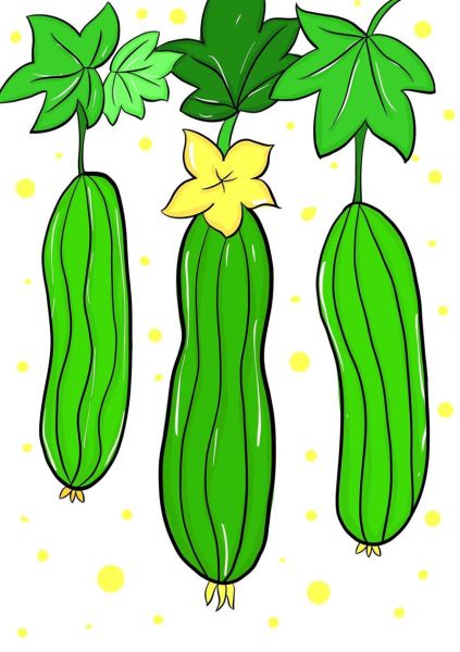 蔬菜简笔画图片大全带颜色_怎么画才好看-第2张图片-山城妙识