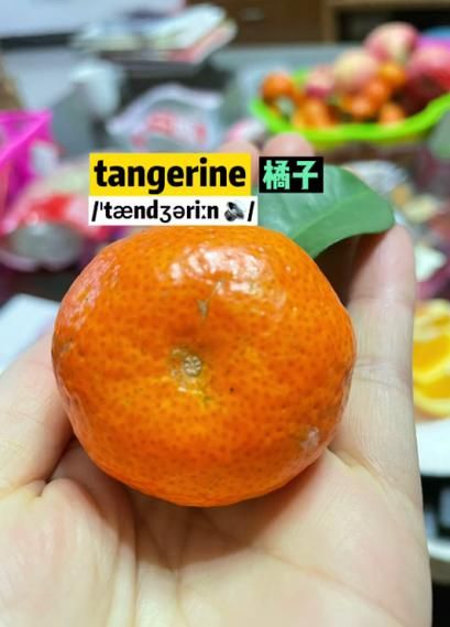 橘子的英语叫什么_橘子英文怎么说-第3张图片-山城妙识