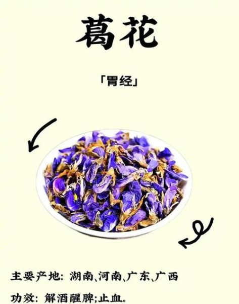 葛花解酲汤方歌功效_葛花解酲汤怎么喝-第1张图片-山城妙识