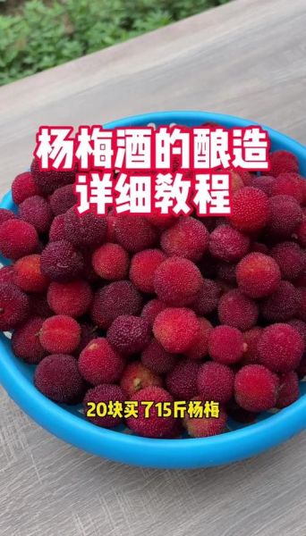 红葡萄酒怎么做_自酿红酒详细步骤-第3张图片-山城妙识