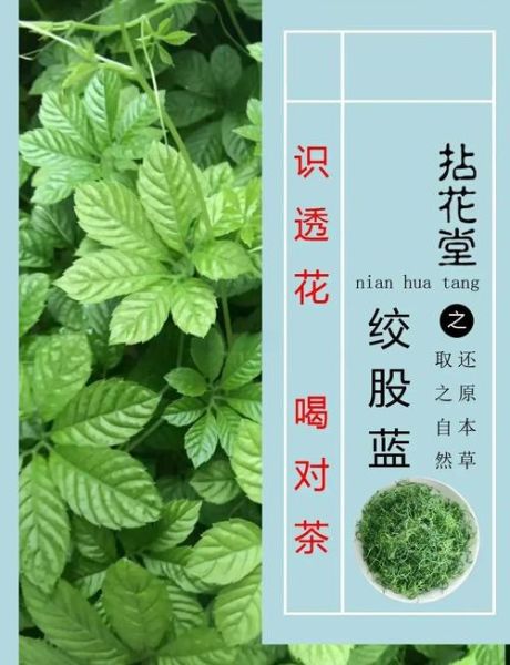 绞股蓝茶的功效与作用_适合什么人喝-第1张图片-山城妙识 绞股蓝茶的功效与作用_适合什么人喝-第1张图片-山城妙识