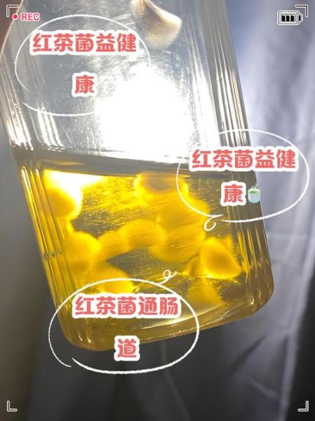 红茶菌致癌是真的吗_长期喝红茶菌会得癌症吗-第1张图片-山城妙识 红茶菌致癌是真的吗_长期喝红茶菌会得癌症吗-第1张图片-山城妙识