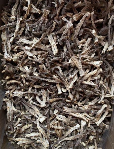 鹿角菜是什么_鹿角菜怎么做好吃-第1张图片-山城妙识