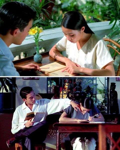 青木瓜之味隐喻_如何解读-第3张图片-山城妙识