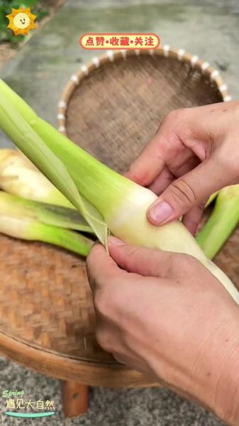 茭白要不要去皮_茭白去皮做法详解-第3张图片-山城妙识