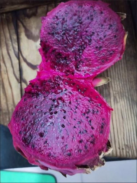 红心火龙果热量高吗_红心火龙果减肥能吃吗-第3张图片-山城妙识