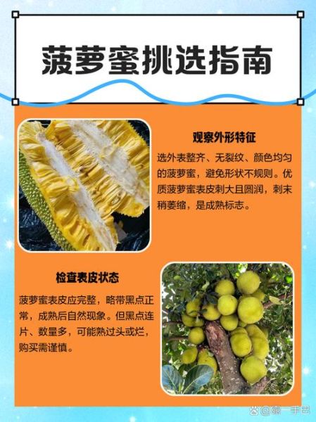 菠萝菠萝蜜进口关税是多少_如何挑选进口菠萝蜜-第1张图片-山城妙识