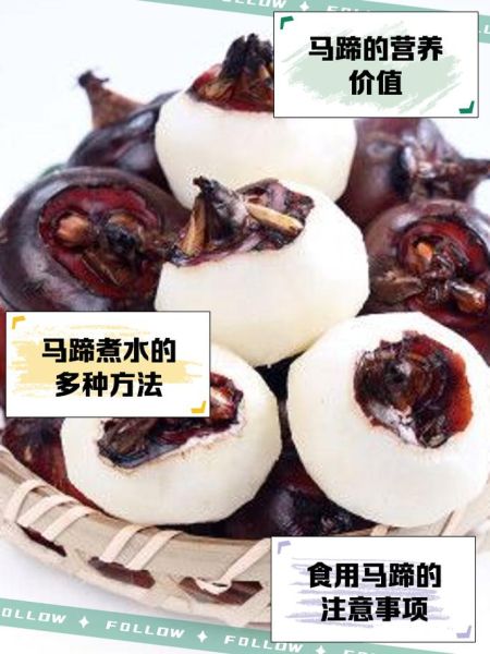 马蹄子的功效与作用_马蹄子怎么吃最好-第2张图片-山城妙识