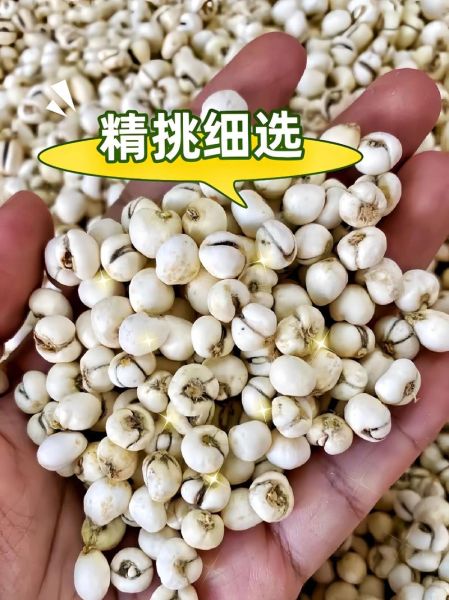 薏仁米怎么熬粥_薏仁米熬粥前要泡多久-第3张图片-山城妙识