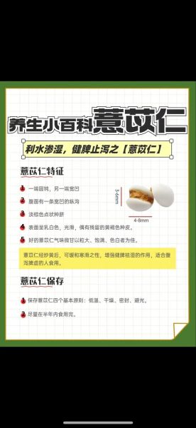 薏仁米怎么熬粥_薏仁米熬粥前要泡多久-第1张图片-山城妙识