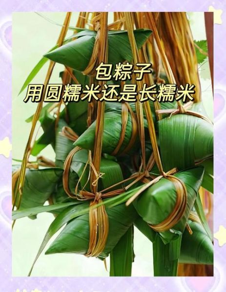 长糯米和圆糯米的区别_哪个更适合做粽子-第1张图片-山城妙识 长糯米和圆糯米的区别_哪个更适合做粽子-第1张图片-山城妙识