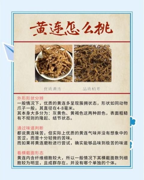 黄连的作用与功效_黄连能治疗哪些疾病-第2张图片-山城妙识