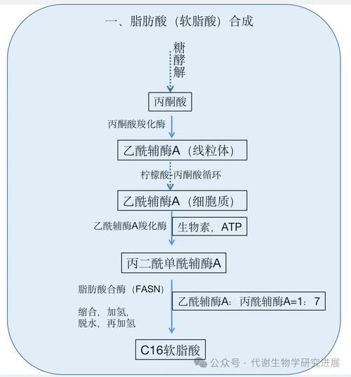肉桂酸怎么合成_肉桂酸合成路线有哪些-第2张图片-山城妙识 肉桂酸怎么合成_肉桂酸合成路线有哪些-第2张图片-山城妙识