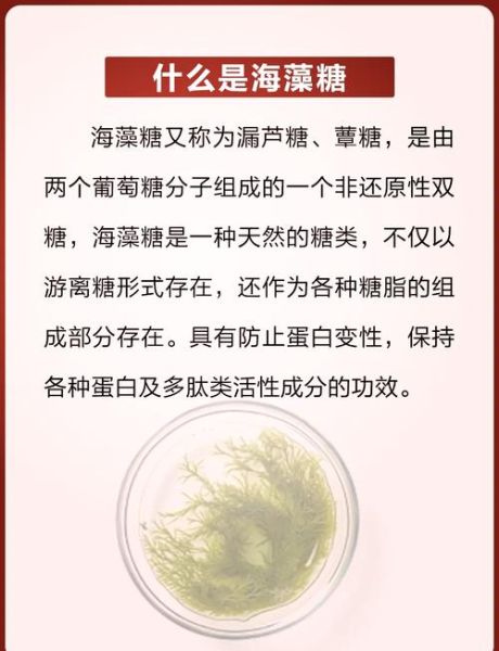 海藻糖对皮肤的作用_海藻糖可以长期吃吗-第1张图片-山城妙识