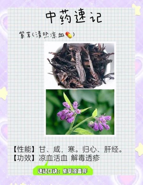 紫草的功效与作用_紫草能治什么病-第2张图片-山城妙识