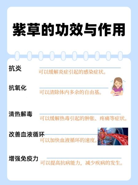 紫草的功效与作用_紫草能治什么病-第1张图片-山城妙识