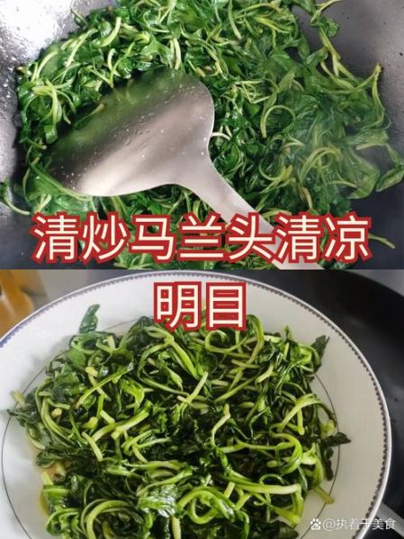 清炒马兰头怎么做_清炒马兰头焯水多久-第1张图片-山城妙识 清炒马兰头怎么做_清炒马兰头焯水多久-第1张图片-山城妙识