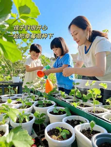 奶油草莓怎么种_奶油草莓种植方法-第3张图片-山城妙识
