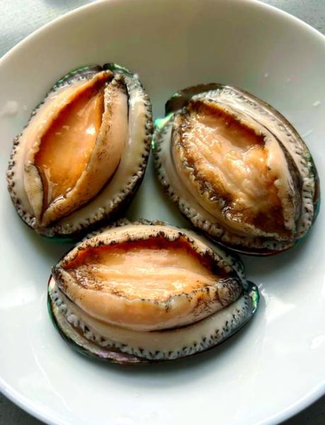 鲍鱼有什么营养价值_鲍鱼的功效与作用-第3张图片-山城妙识