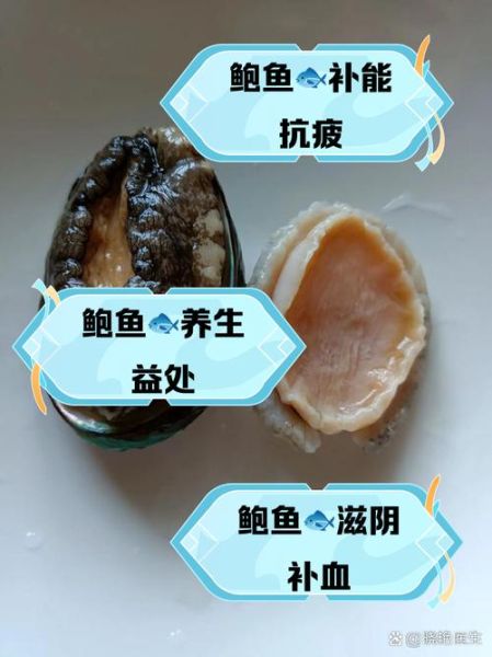 鲍鱼有什么营养价值_鲍鱼的功效与作用-第1张图片-山城妙识