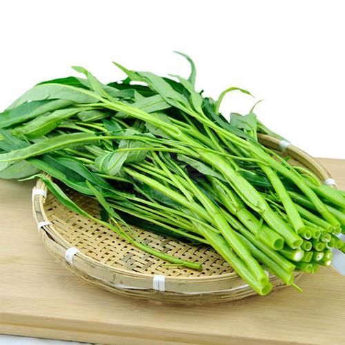 空心菜图片大全大图真实_空心菜怎么挑选最新鲜-第1张图片-山城妙识 空心菜图片大全大图真实_空心菜怎么挑选最新鲜-第1张图片-山城妙识