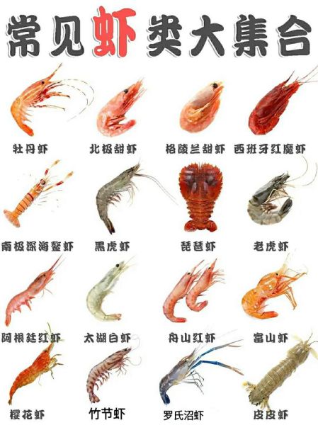 虾的品种大全_常见虾类怎么区分-第1张图片-山城妙识