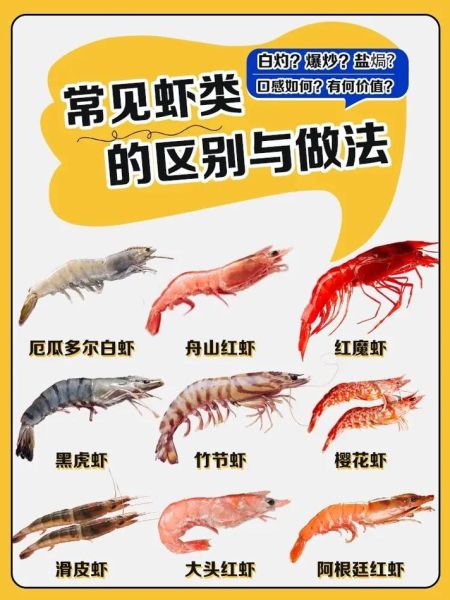 虾的品种大全_常见虾类怎么区分-第2张图片-山城妙识
