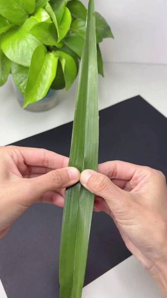 棕叶编织教程_棕叶编织能做什么-第2张图片-山城妙识