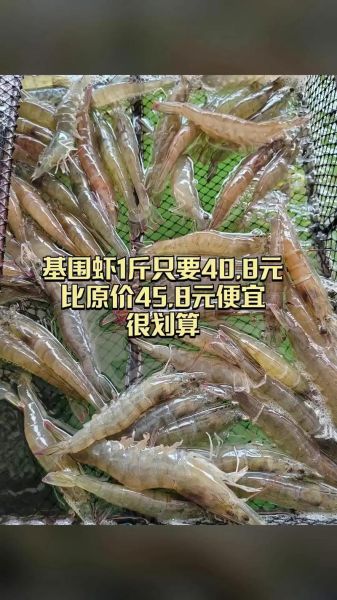 基围虾多少钱一斤2021_2021年基围虾价格走势-第3张图片-山城妙识