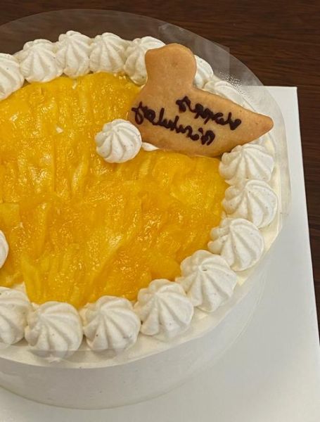 上海生日蛋糕品牌哪家好_上海生日蛋糕品牌排行榜-第2张图片-山城妙识