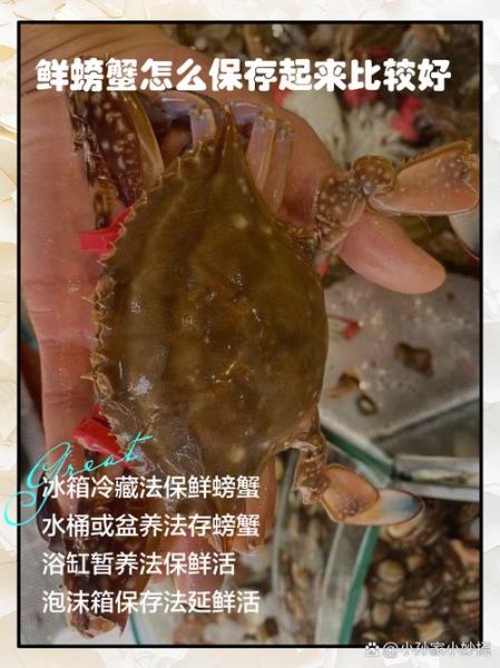 海螃蟹怎么保存才新鲜_活蟹冷藏能放几天-第2张图片-山城妙识