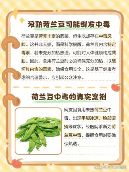 荷兰豆没熟会中毒吗_中毒症状多久出现-第2张图片-山城妙识