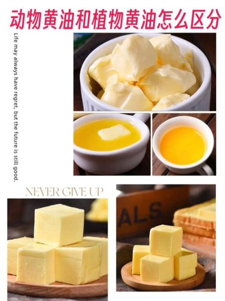 植物黄油好还是动物黄油好_哪个更健康-第1张图片-山城妙识