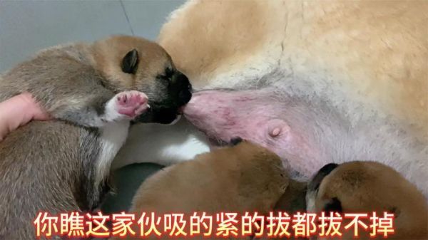 草莓印怎么吸_草莓印多久能消-第3张图片-山城妙识