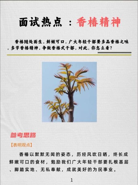 为什么不能砍香椿树_香椿树风水禁忌-第2张图片-山城妙识